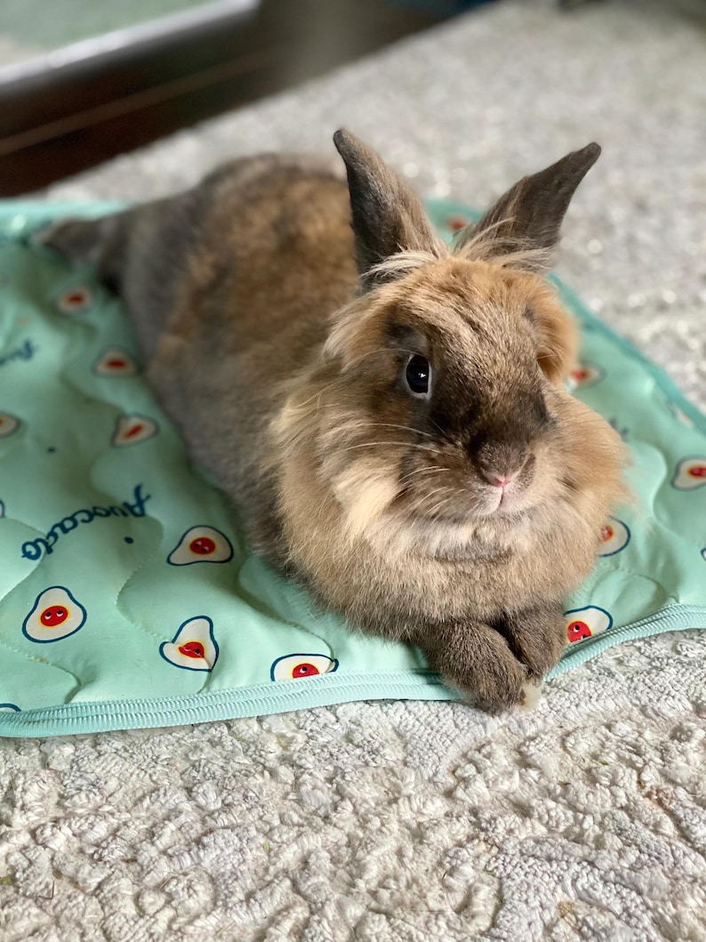 Cooling Pet Mat | Washable - Ideal for Rabbits, Guinea Pigs, Cats, Small Dogs - Etsy