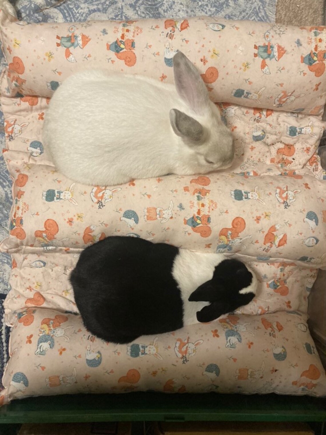 Flop Bed for Rabbits Small Pets Cats bunny Print Listing - Etsy
