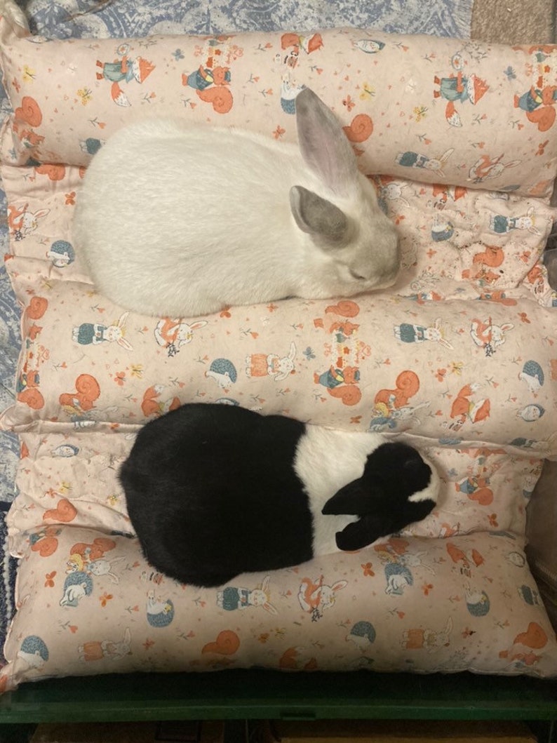 Flop Bed for Rabbits Small Pets Cats bunny Print Listing - Etsy