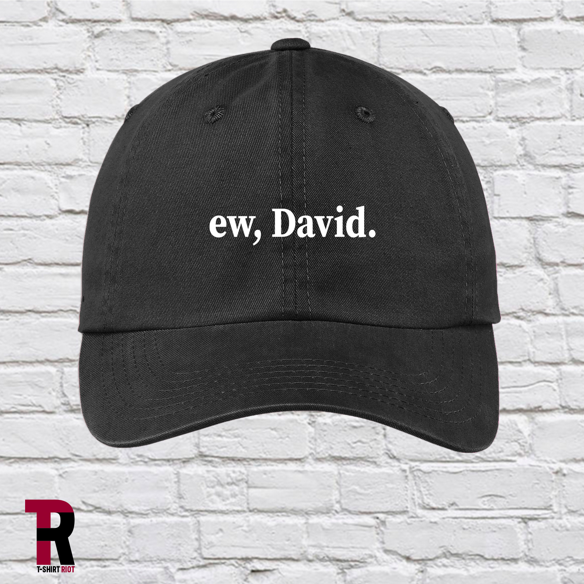 Ew, David. Schitt's Creek Low Profile Garment Washed Hat Ew David Hat ...