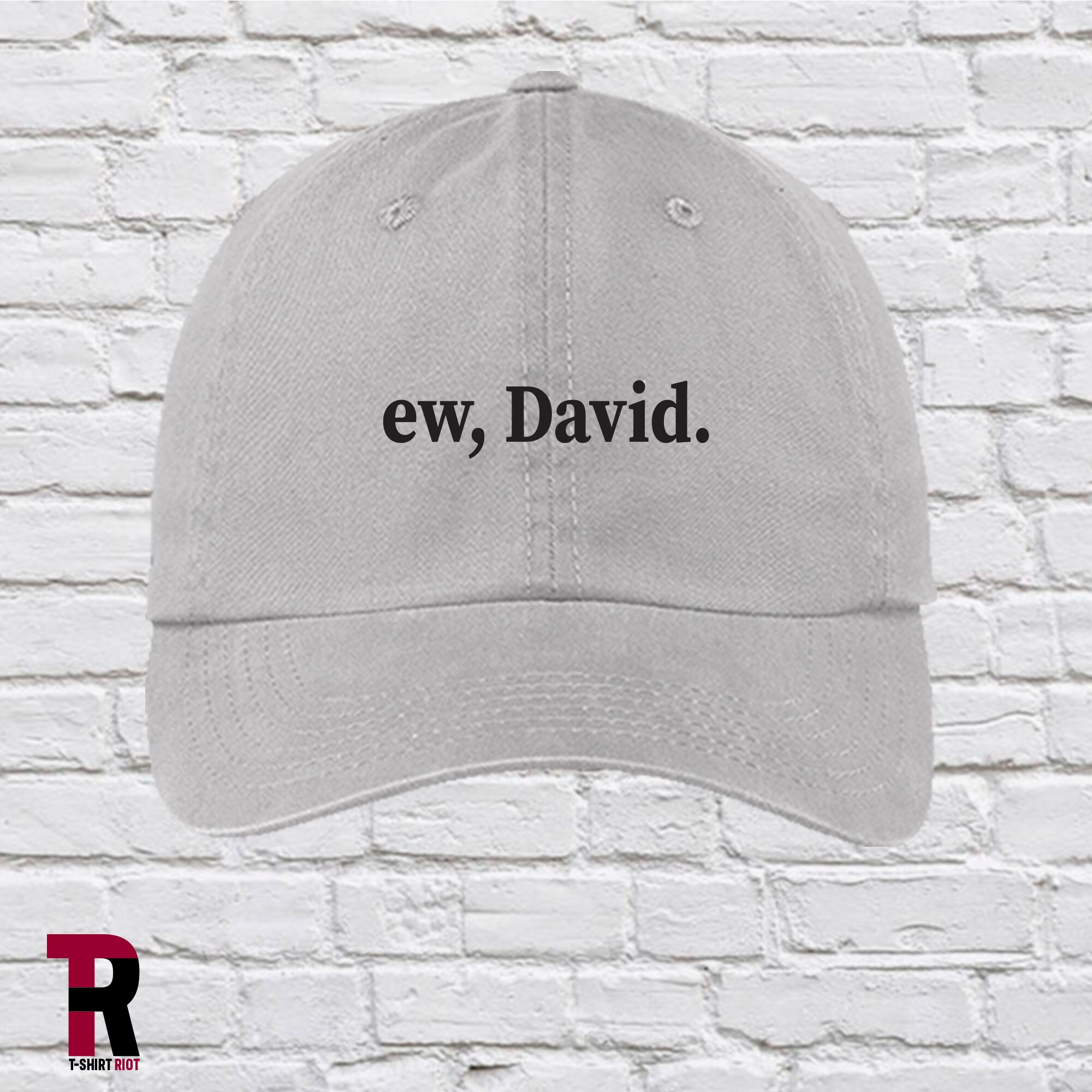 Ew, David. Schitt's Creek Low Profile Garment Washed Hat Ew David Hat ...