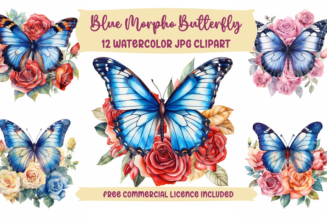 Blue Morpho Butterfly JPG Clipart, Morpho Butterfly Art, Butterflies ...