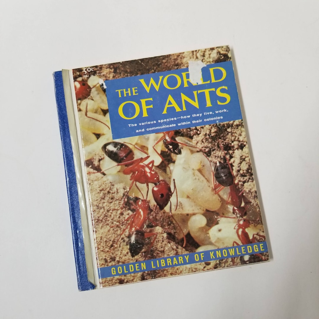 1959 the World of Ants How They Live Vintage Illustrated Golden Press ...