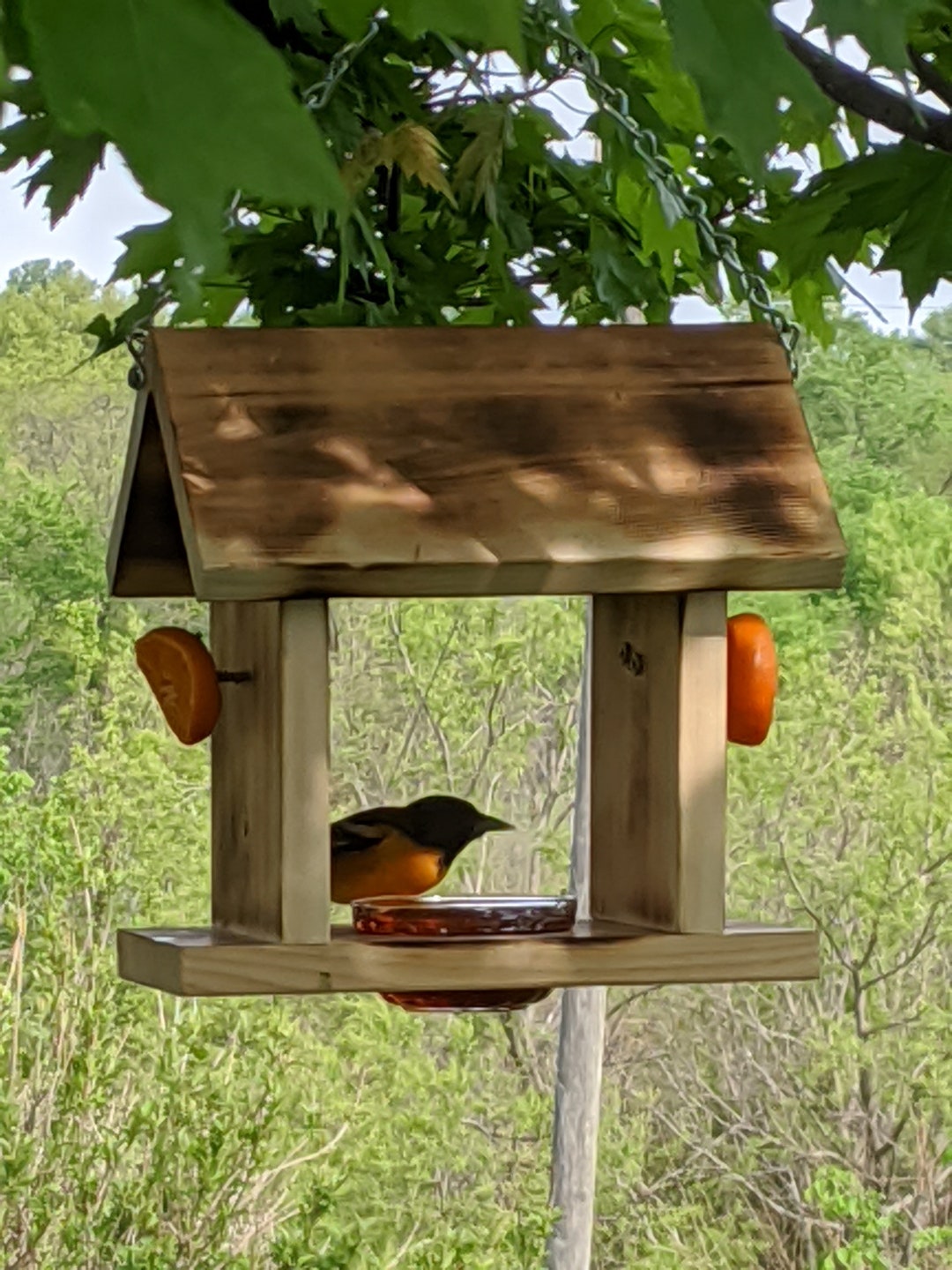 Oriole Feeder - Etsy