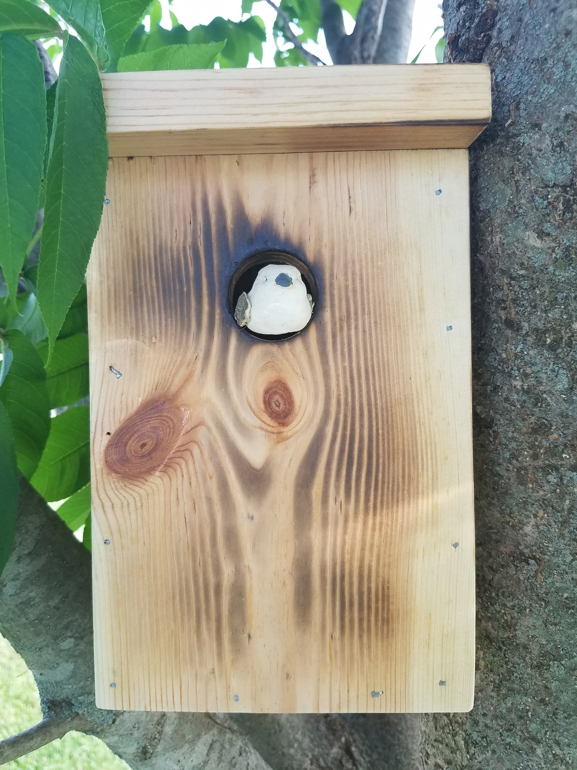 Chickadee House - Etsy