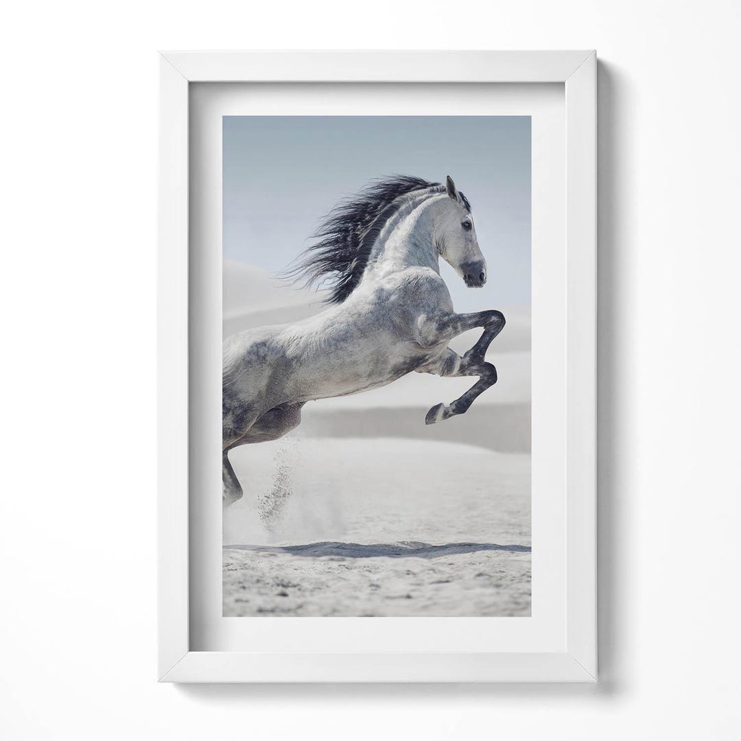 Galloping White Horse Wall Art in Frame, Animals Framed Art, Gray Wall ...