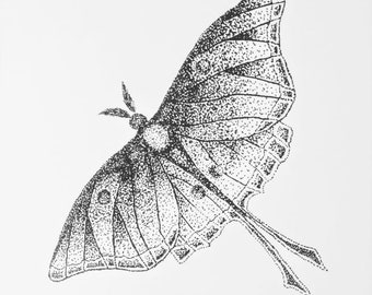 Insect Stippling - Etsy