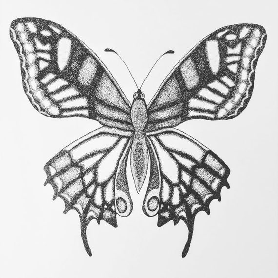 Swallowtail Butterfly Line Drawing