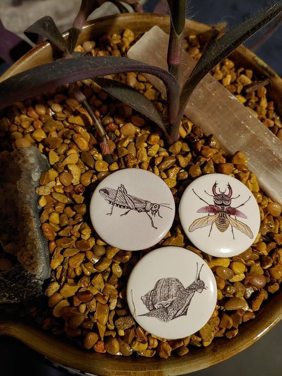 Button Pins / Pins / Nature Pins - Etsy