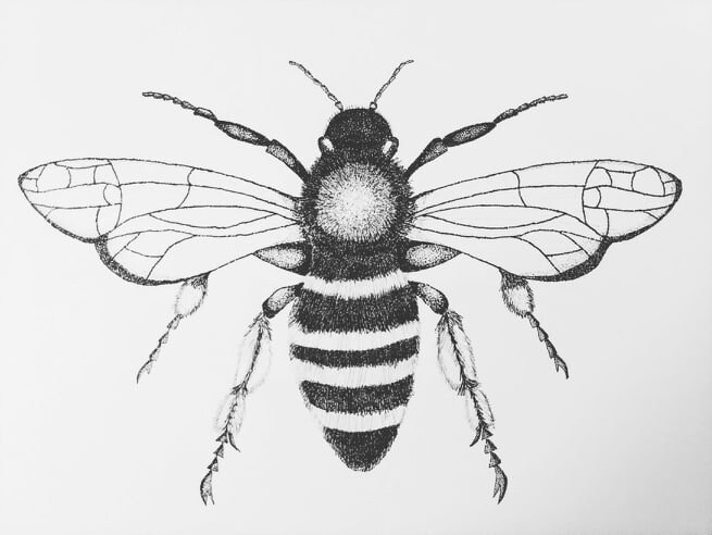 Stippling Bee Print Bug Decor, Insect Decor, Black and White Bee - Etsy