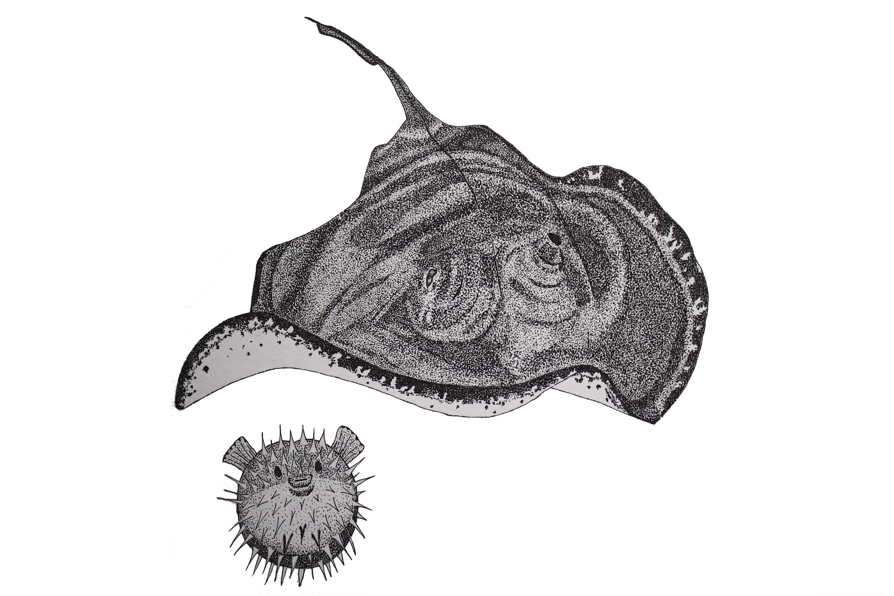 Stippling Sting Ray and Puffer Fish Print Ocean Decor, Sea Creature ...