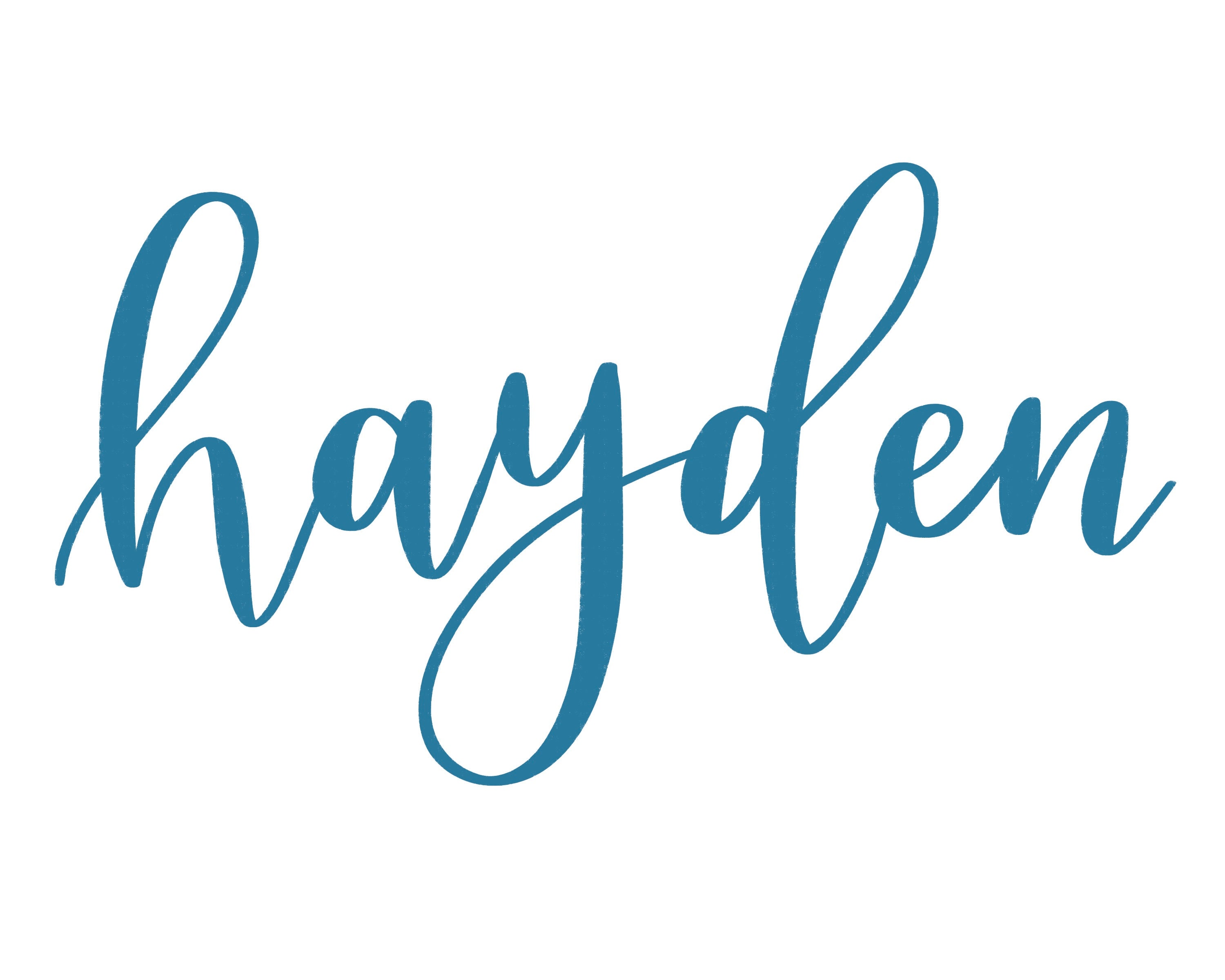 Hayden Procreate Brush for Digital Handlettering Direct downloaden ...