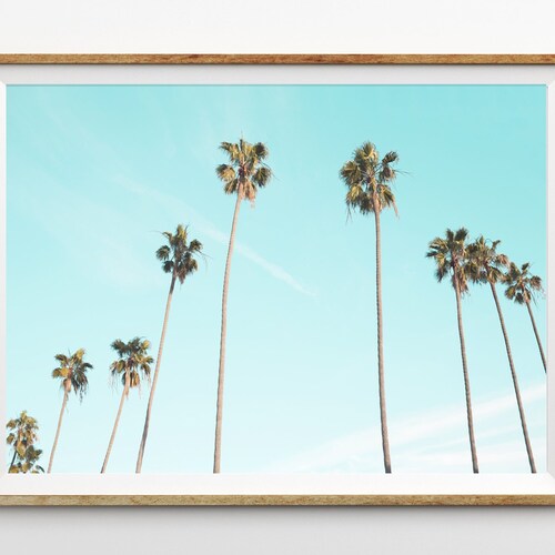 California Wall Art Palm Tree Print Palms Print Beach Wall Art - Etsy