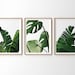 3 Piece Wall Art Tropical Leaves Printable Art Set of 3 Prints ...