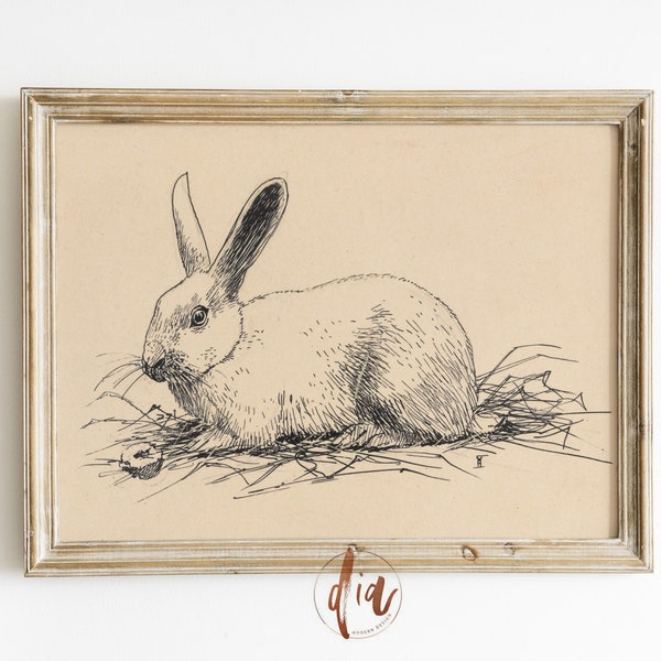 Antique Rabbit Print - Etsy