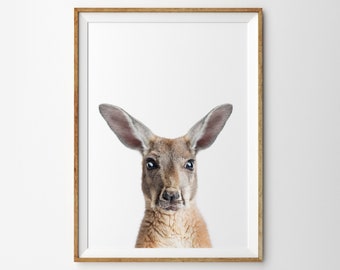 Zoo animal print | Etsy