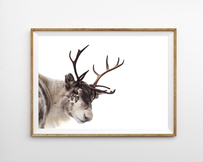 Reindeer Print Christmas Printable Art Funny Holiday Decor | Etsy
