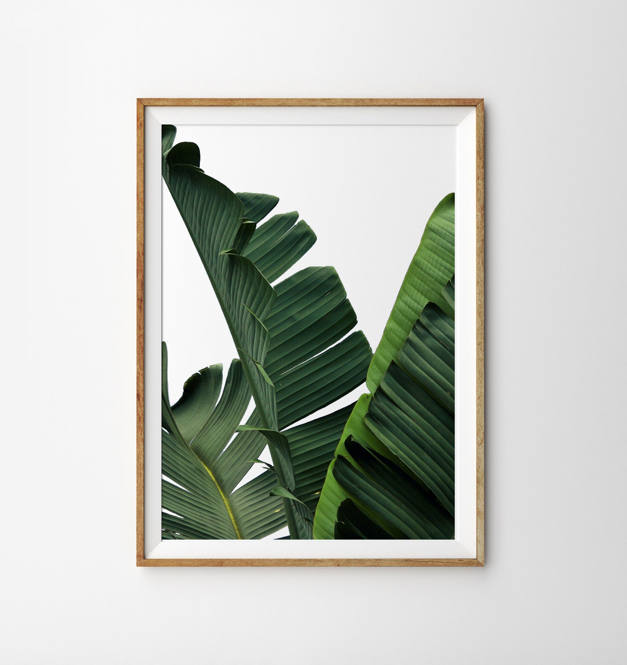 Green Leaf Digital Download Set of 2 Posters Botanical Print Tropical ...