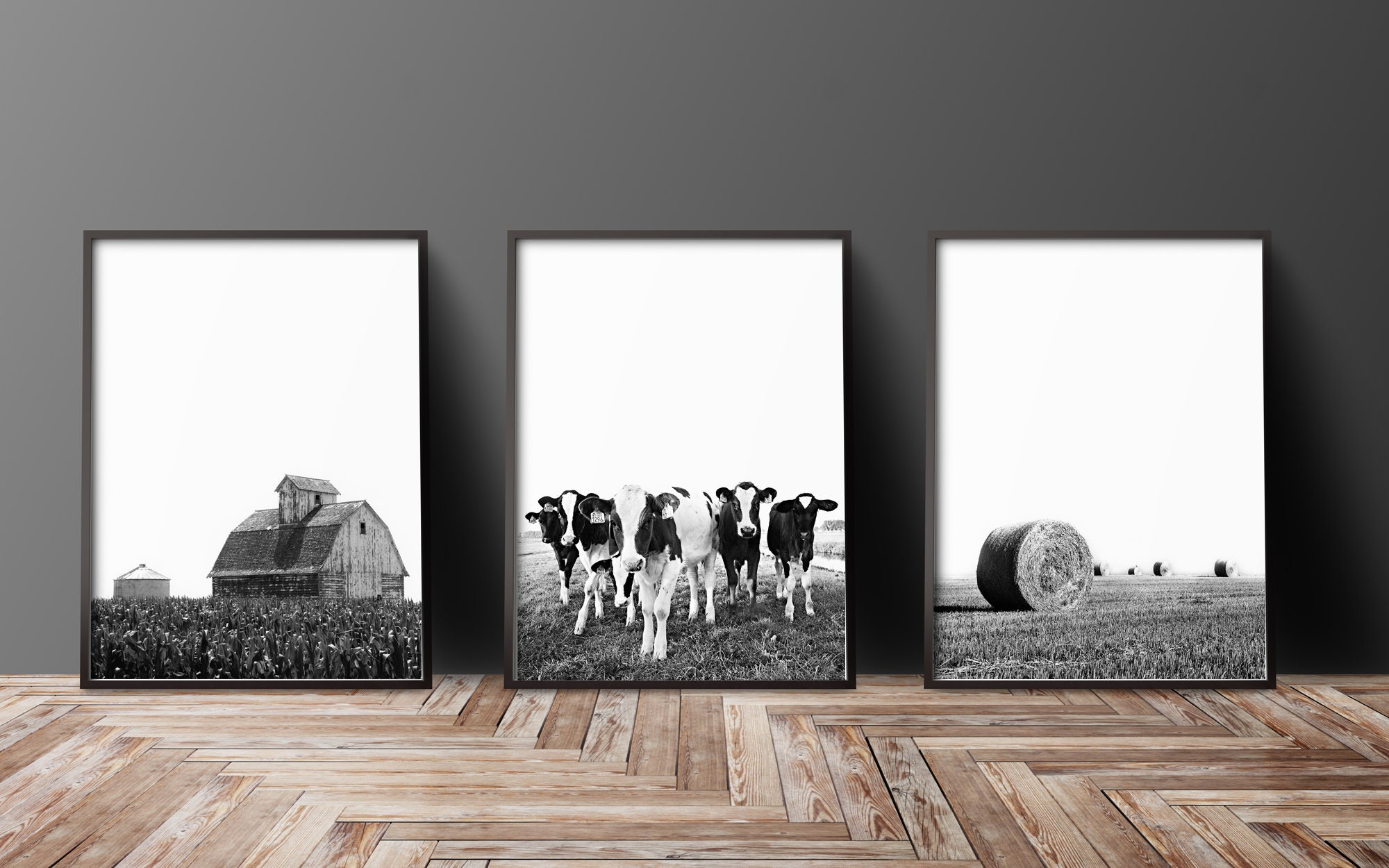 Set of 3 Farm Prints Cows Barn Hay Print Modern Farmhouse - Etsy
