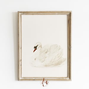 Coquette Print Set of 5 Digital Prints, Coquette Room Decor, Soft Girl ...