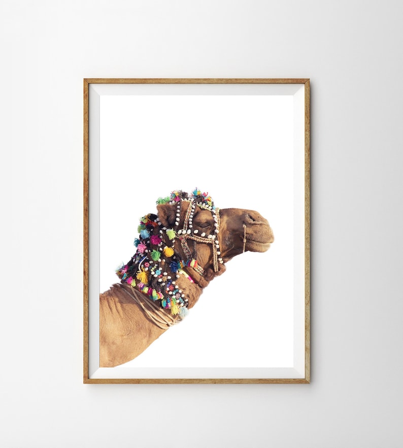 Camel Print Boho Nursery Print Desert Animal Print Bohemian - Etsy