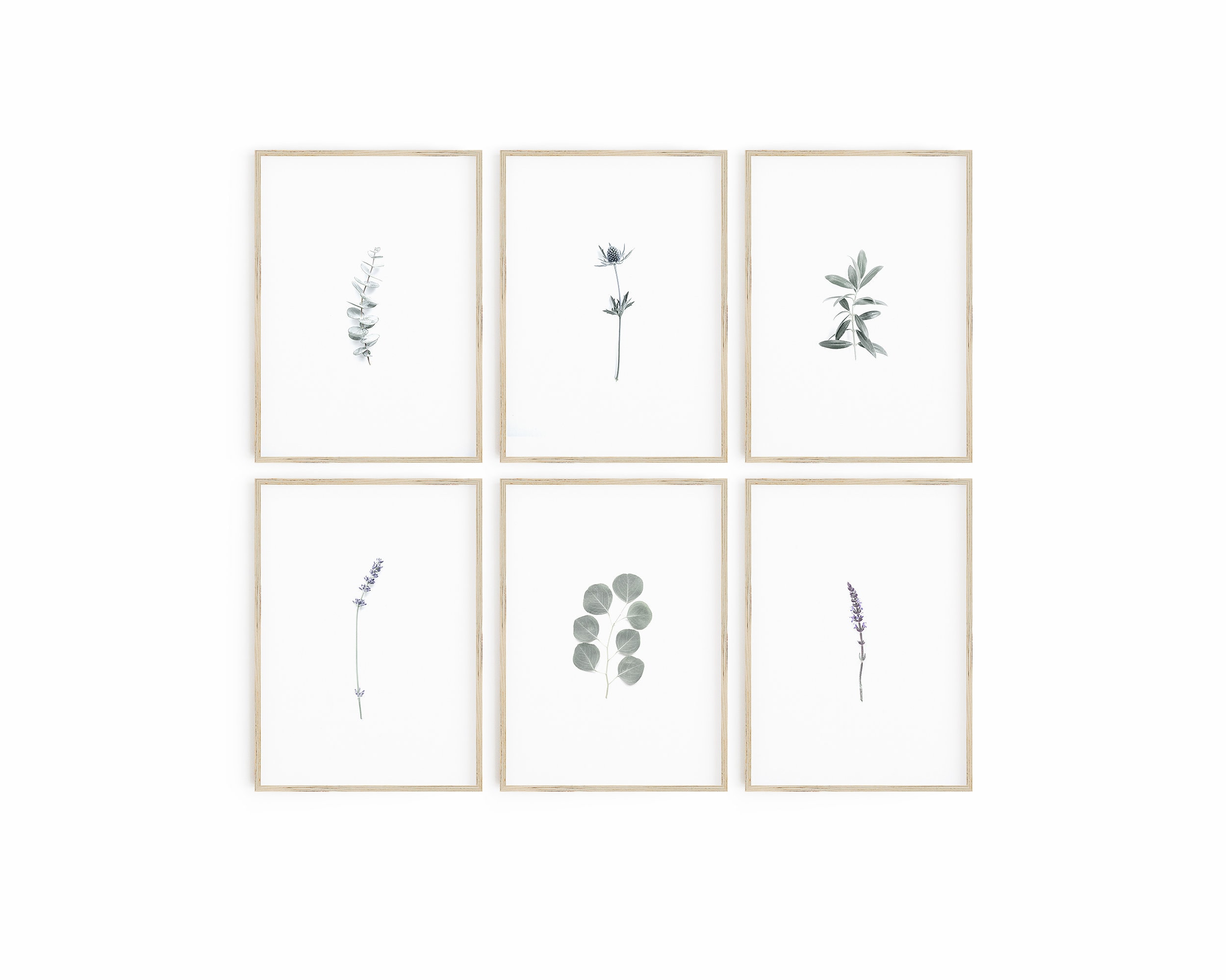 Modern Farmhouse Wall Decor Botanical Print Set of 6 Prints | Etsy