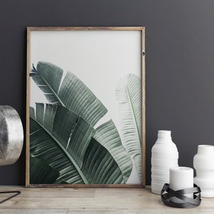 Tropical Leaf Print Tropical Decor Botanical Wall Art Prints Plant ...
