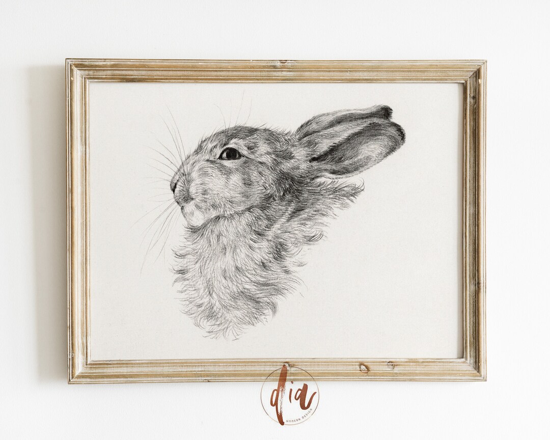 Hase Zeichnung, Vintage Hase Skizze, Ostern Wandkunst, Antik Druck ...
