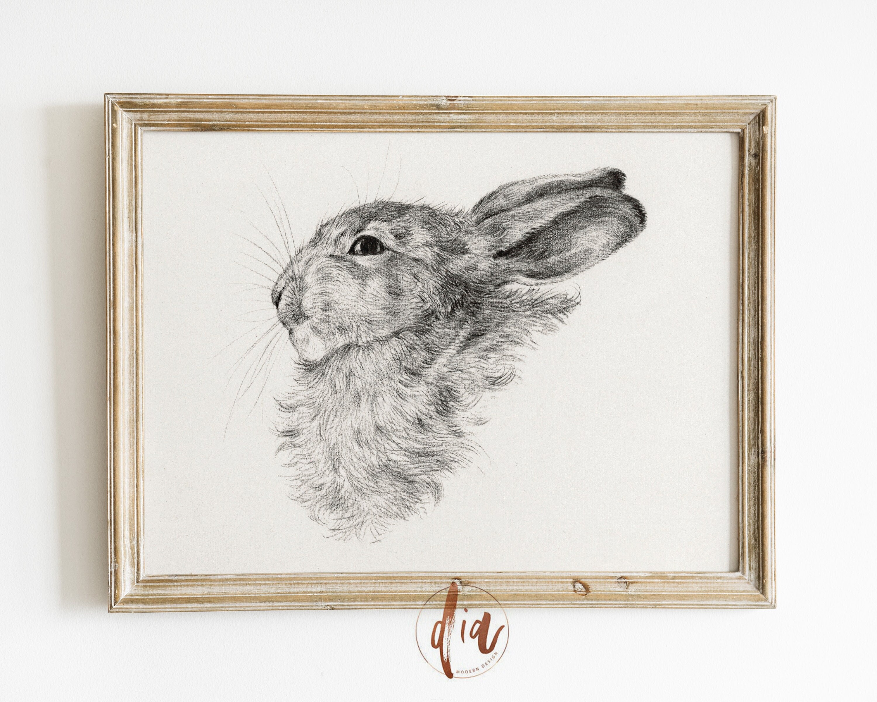 Vintage Rabbit Drawing