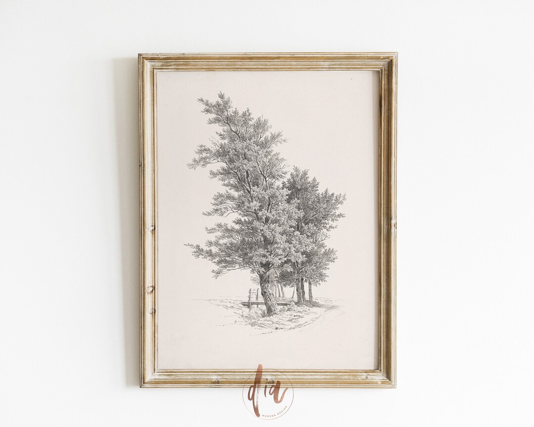 Vintage Tree Sketch, Antique Tree Drawing, French Country Farmhouse ...