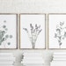 Set of 3 Prints Modern Farmhouse Print Botanical Wall Art - Etsy