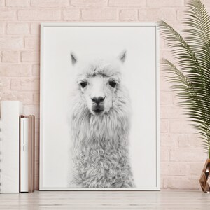 Llama Print Alpaca Print Black and White Boho Decor Boho Nursery Animal ...