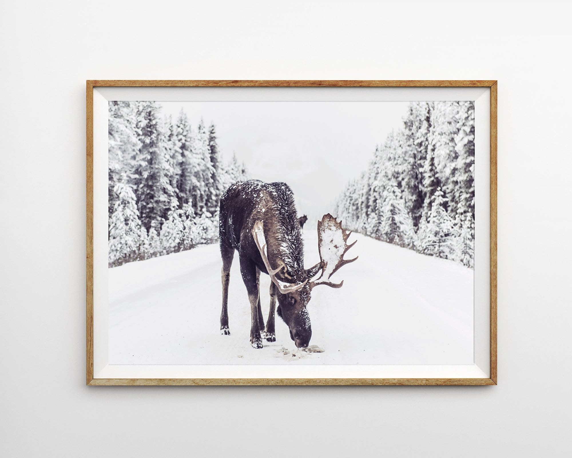 Moose in Snow Print Winter Wall Art Prints Christmas Decor | Etsy