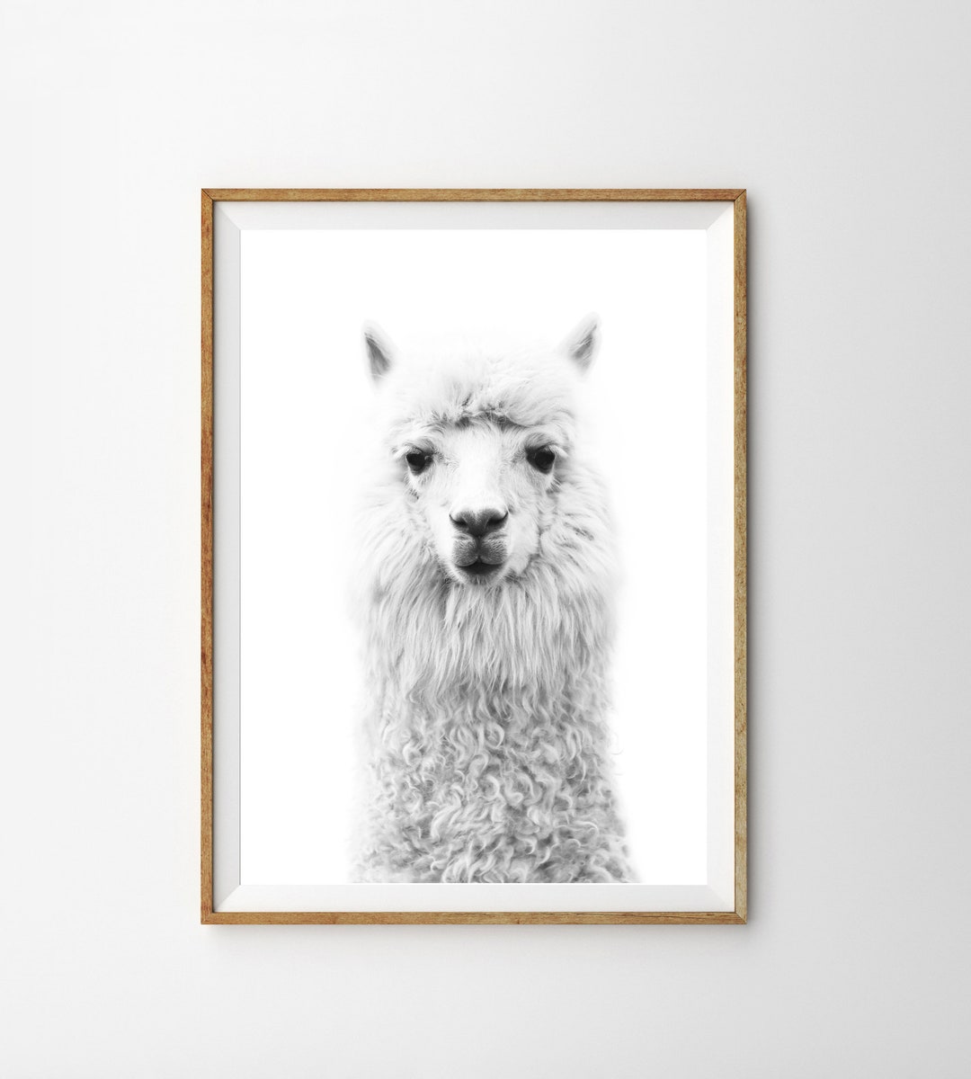 Llama Print Alpaca Print Black and White Boho Decor Boho Nursery Animal ...