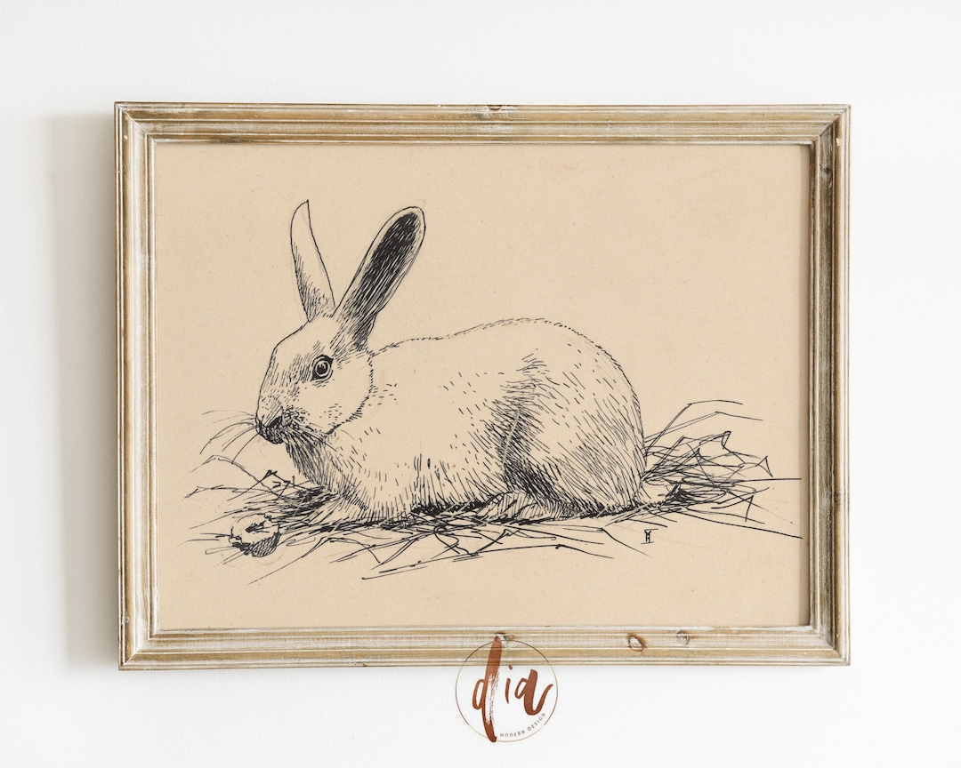 Vintage Drawing Bunny Rabbit, Easter Wall Art, Antique Print, French ...
