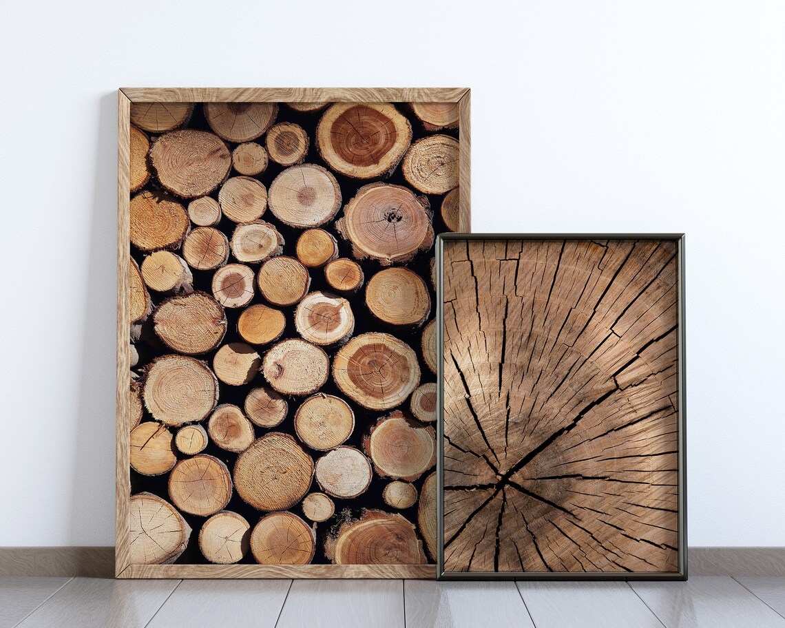 Tree Rings Wood Log Pile Print Set of 2 Prints Rustic | Etsy