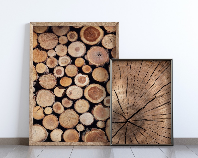 Tree Rings Wood Log Pile Print Set of 2 Prints Rustic | Etsy