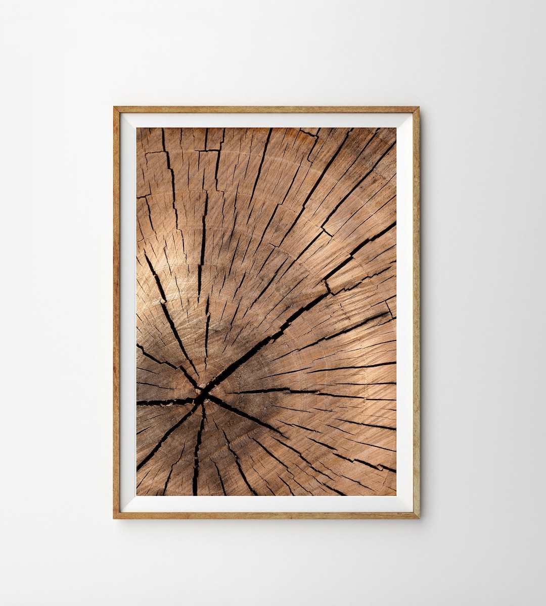 Tree Ring Print, Log Slice Wall Art Print, Rustic Digital Print, Wood ...
