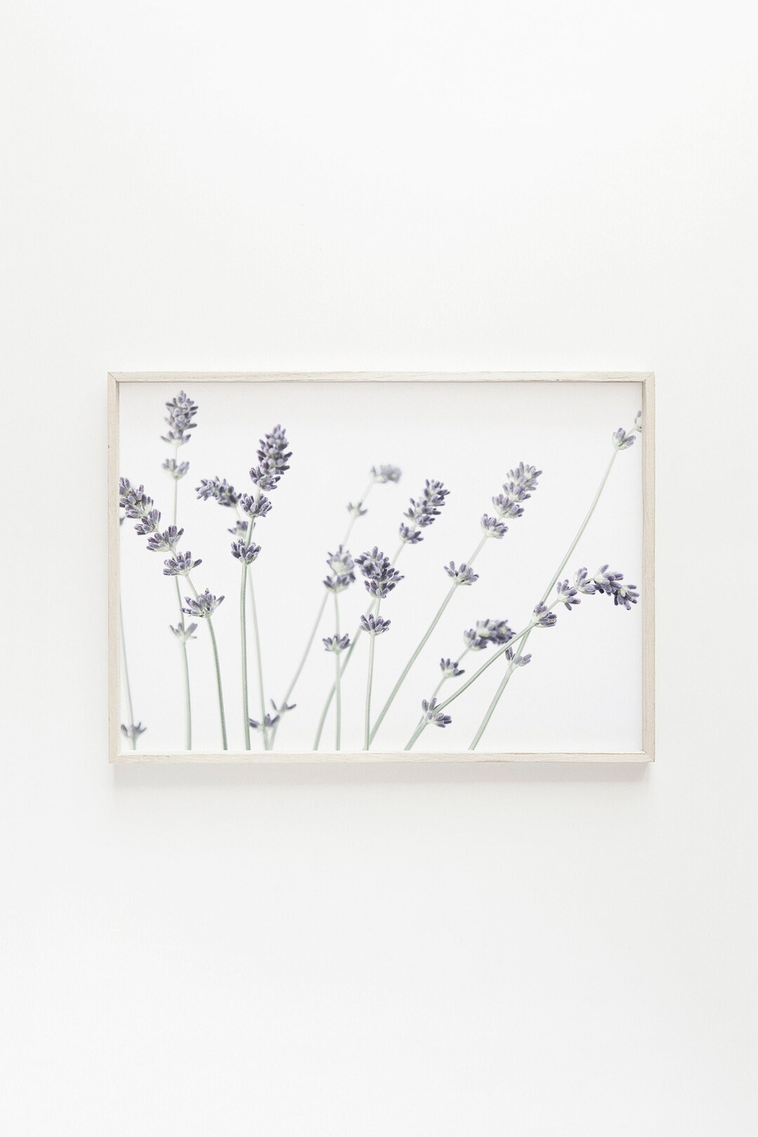 Large Lavender Print Horizontal Wall Art Prints Botanical Print Purple ...