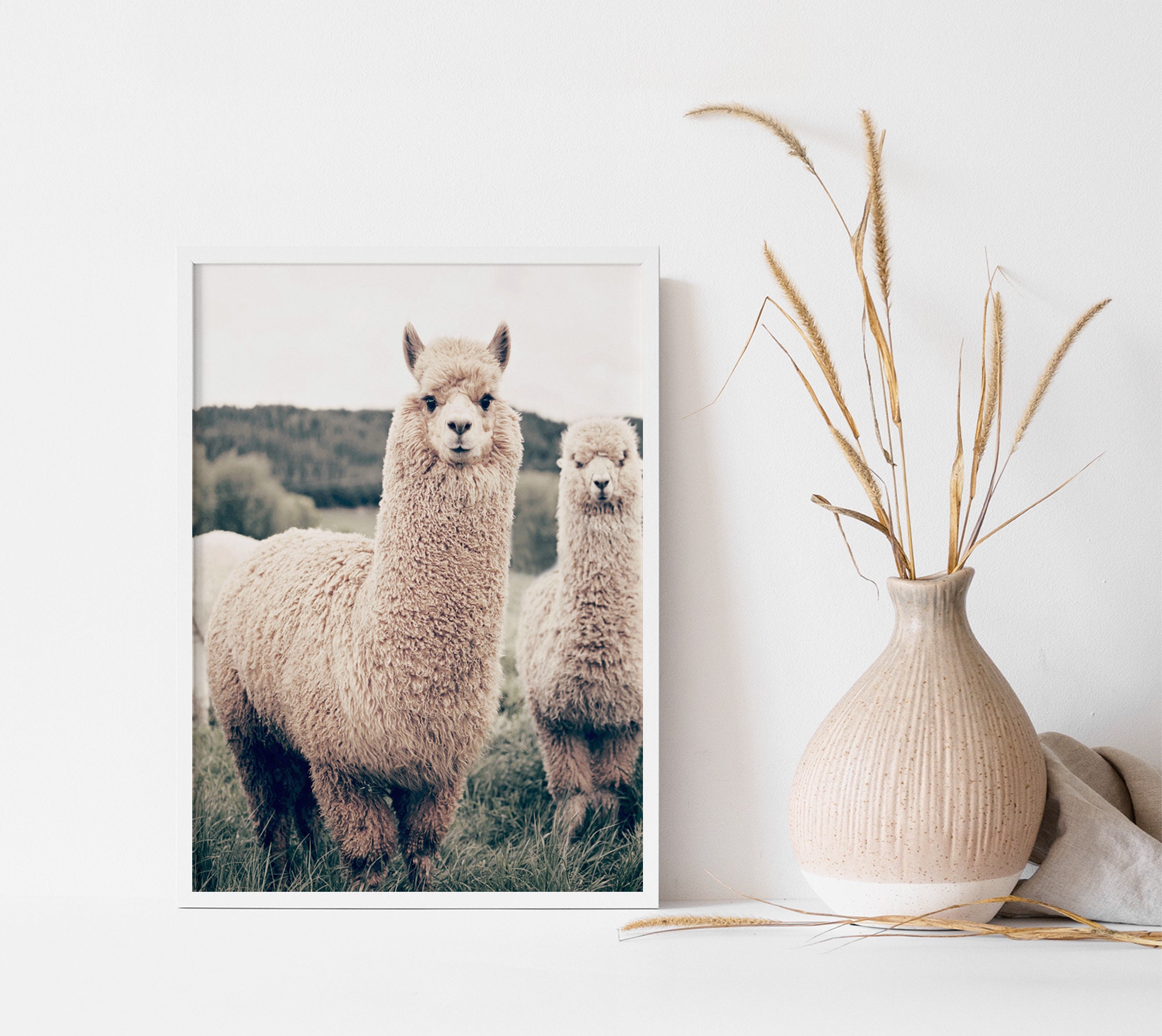 Boho Wall Art Llama Print Boho Nursery Alpaca Printable Wall | Etsy