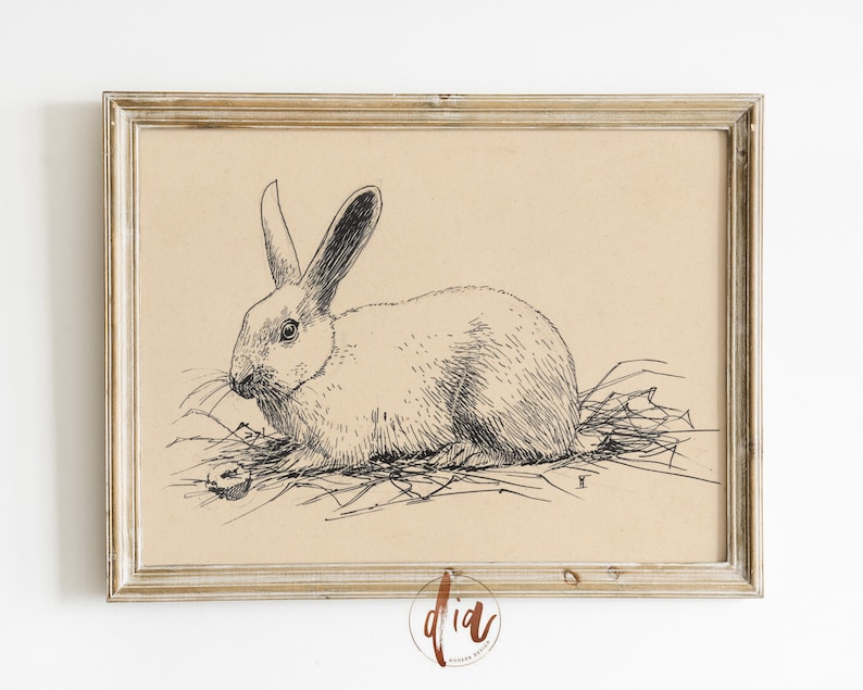Vintage Drawing Bunny Rabbit Easter Wall Art Antique Print - Etsy