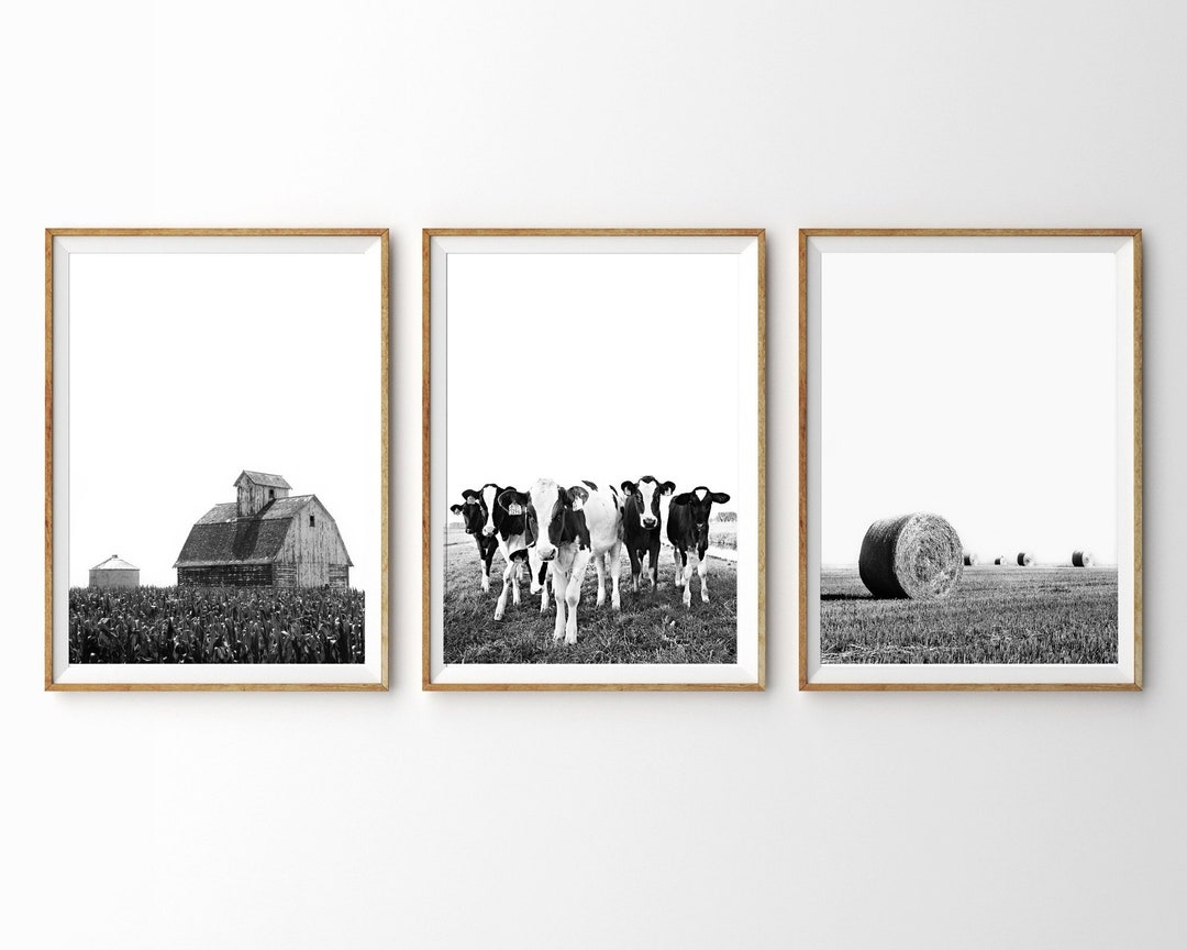 Set of 3 Farm Prints Cows Barn Hay Print Modern Farmhouse Decor Black ...
