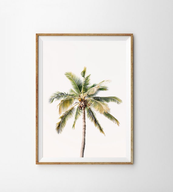 Coconut Tree Palm Tree Poster Print Boho Beach Decor Printable | Etsy