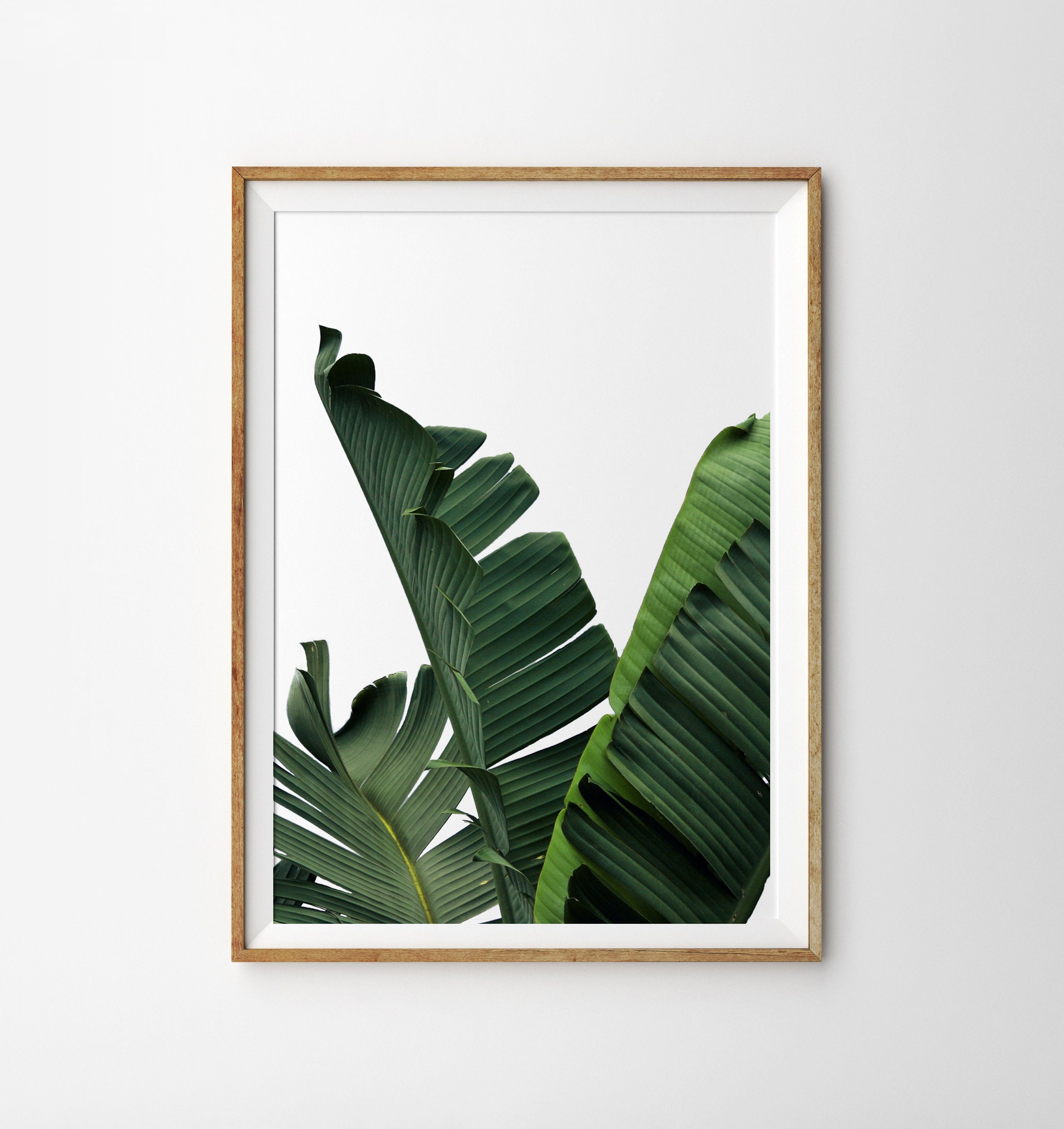 3 Piece Wall Art Tropical Leaves Printable Art Set of 3 Prints - Etsy