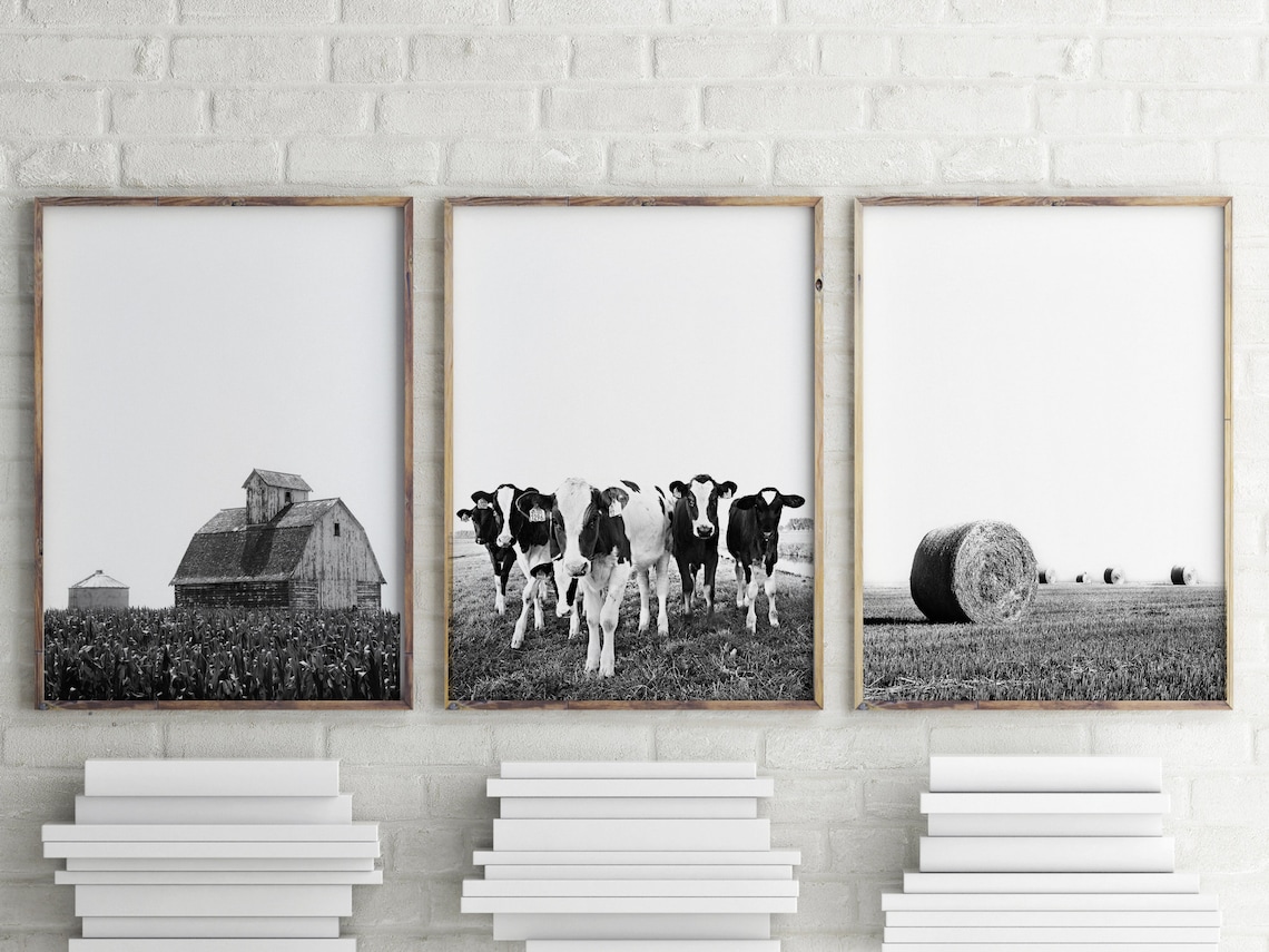 Set of 3 Farm Prints Cows Barn Hay Print Modern Farmhouse - Etsy