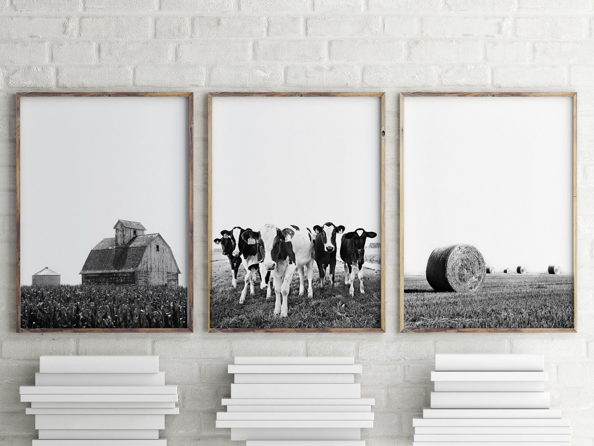 Set of 3 Farm Prints Cows Barn Hay Print Modern Farmhouse - Etsy