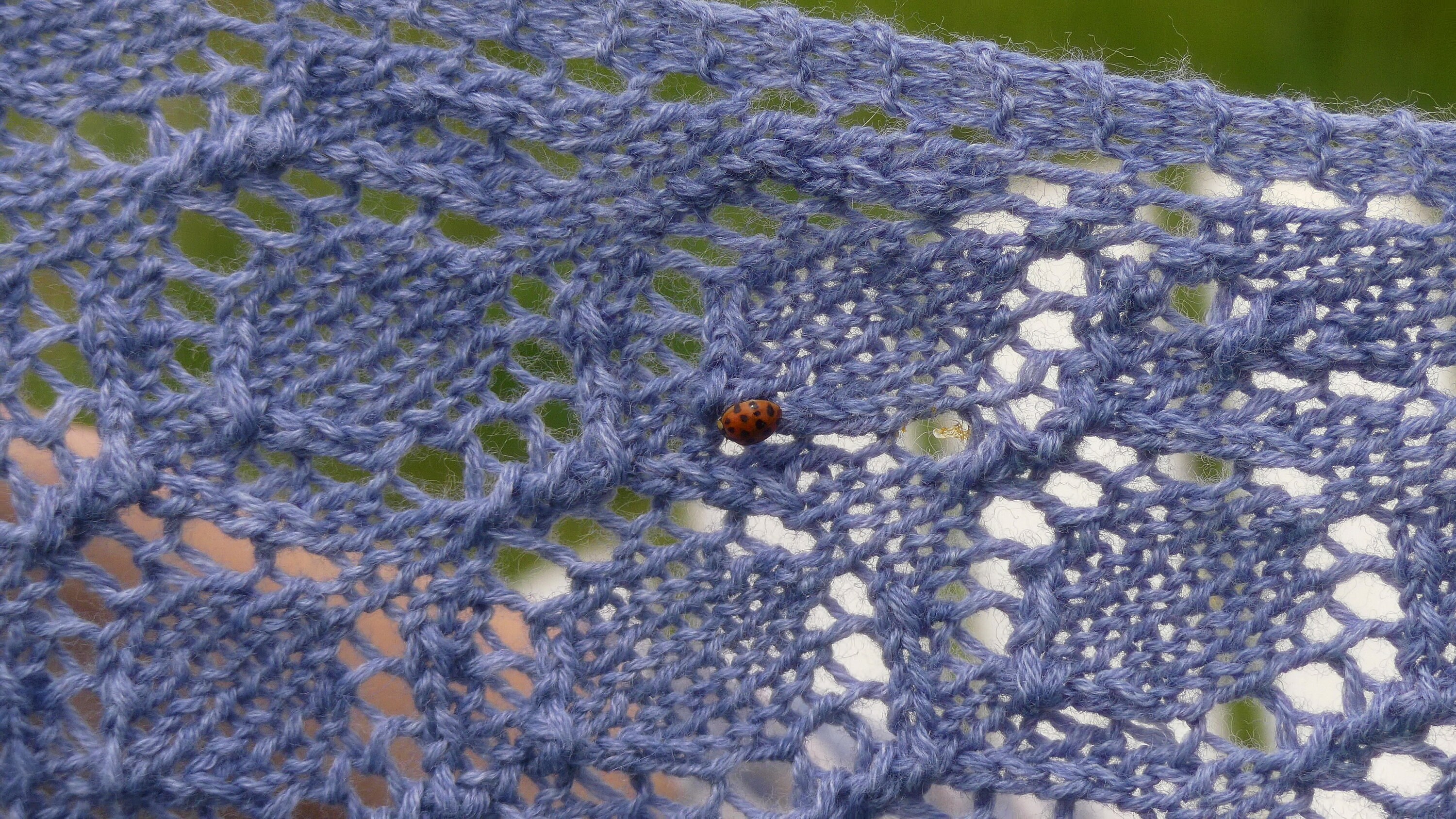 Handknitted Blue Lacy Shawl, All-season Triangle Shawl, Shoulder Wrap ...