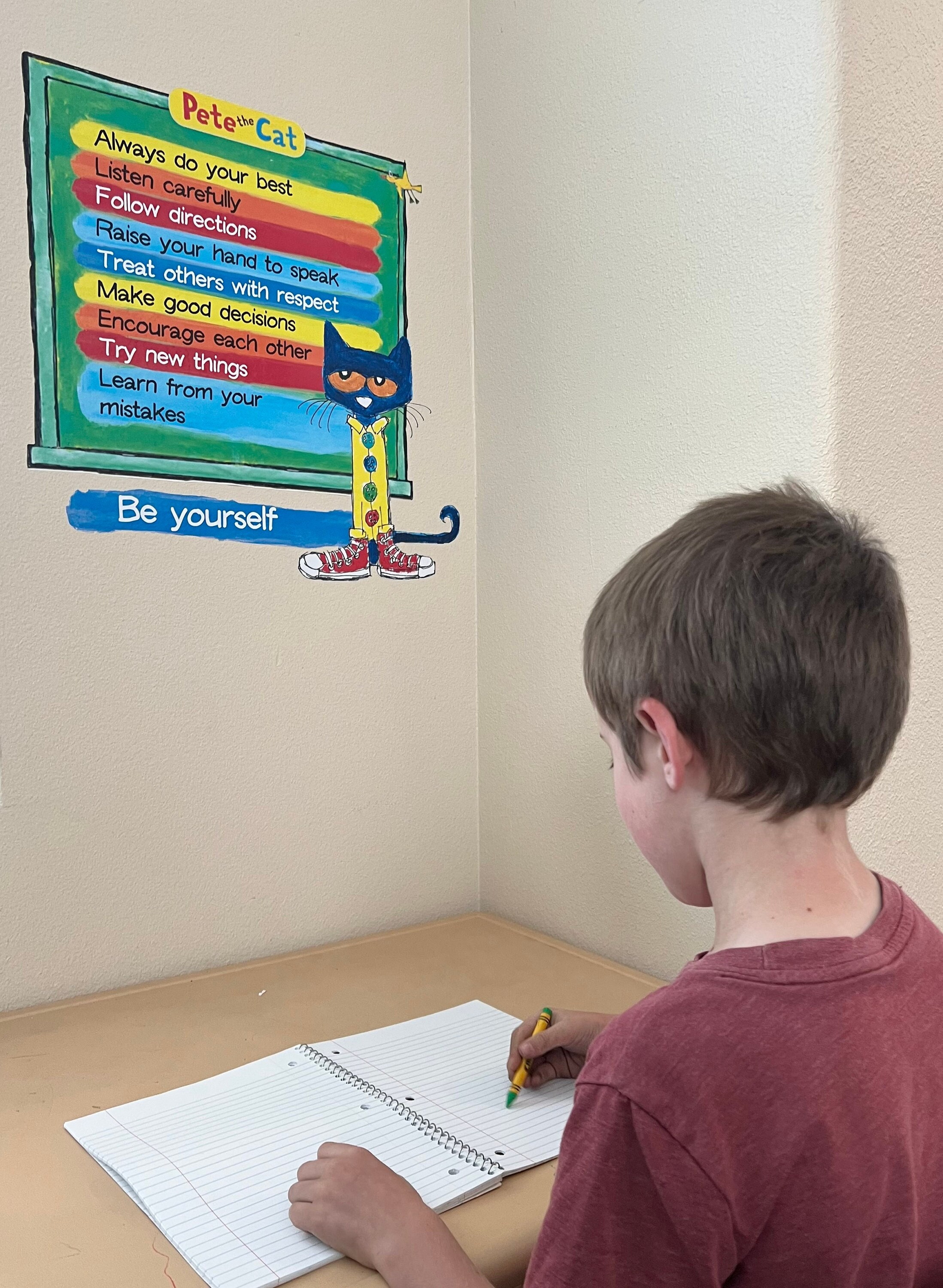 Pete the Cat Classroom Decor Vinyl Wall Decal for Teachers, Toddlers ...