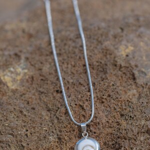 Shell Necklace, Silver Necklace, Seashell Pendant, Eye of Santa Lucia ...