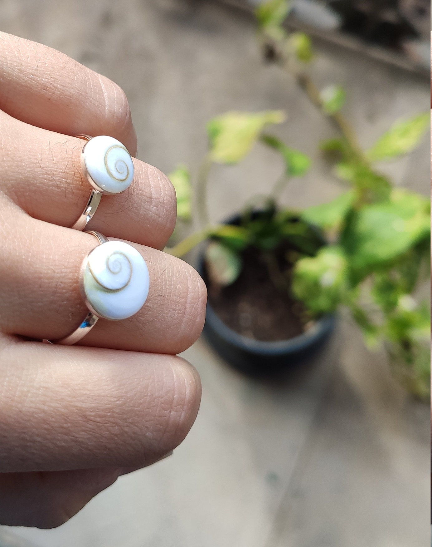 Shell Ring Shiva Eye Ring Shiva Ring Natural Stone Ring | Etsy